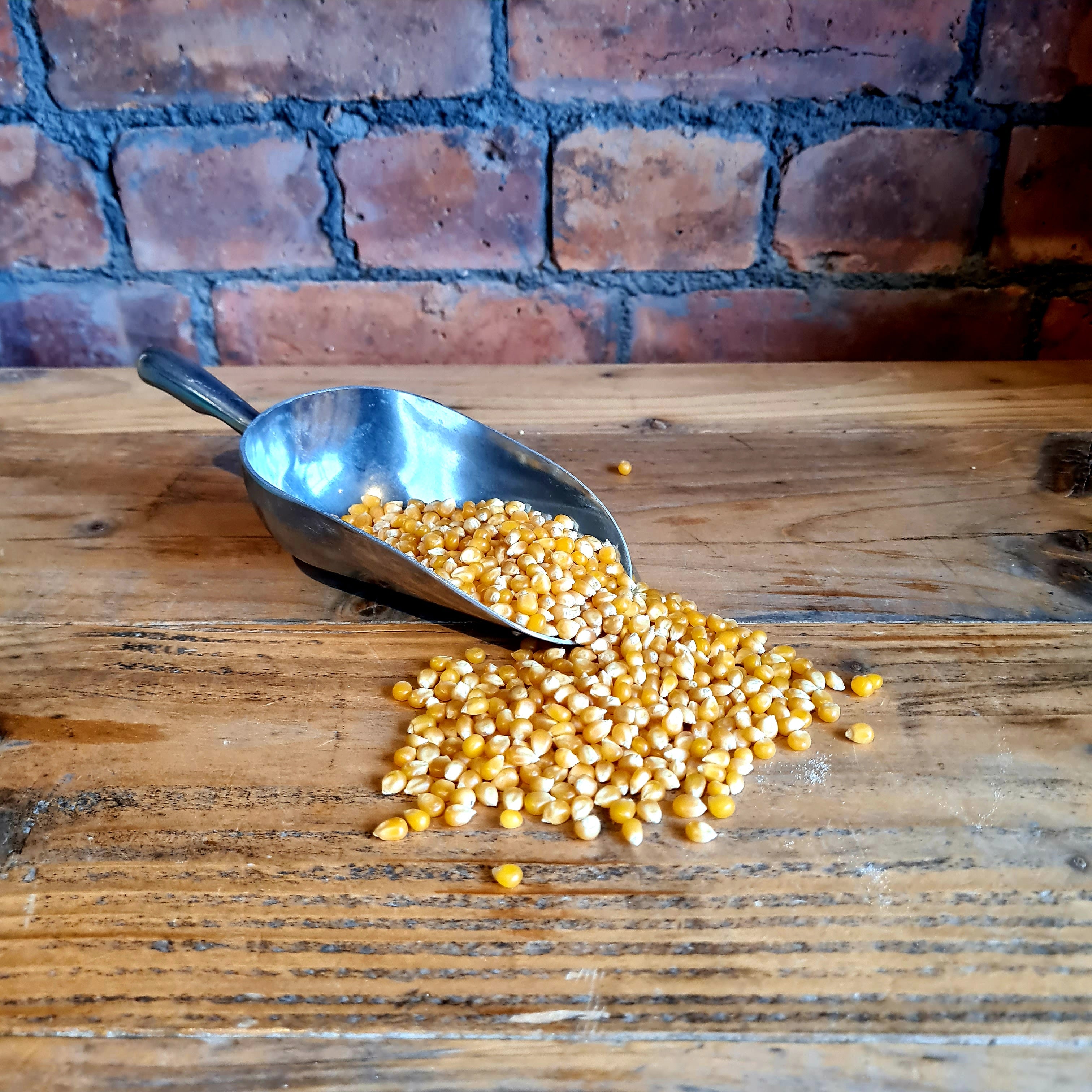 Popcorn / Popping Corn – Grow Refill Store